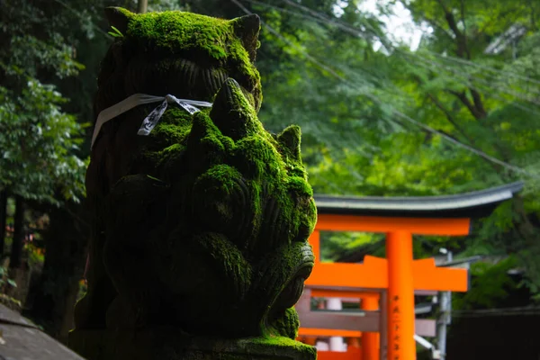 Shinto cati Stock Photos, Royalty Free Shinto cati Images | Depositphotos