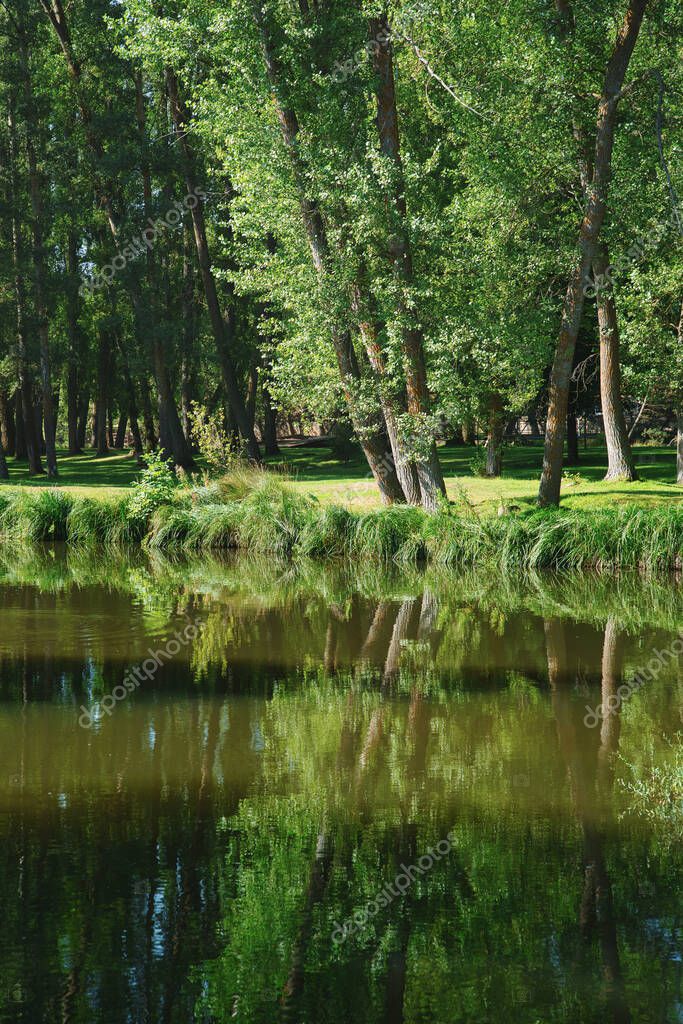 Ribera del río con árboles que se reflejan en el río. Concepto de ...