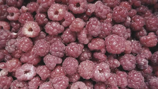 Tartar frutas fotos de stock, imágenes de Tartar frutas sin royalties ...