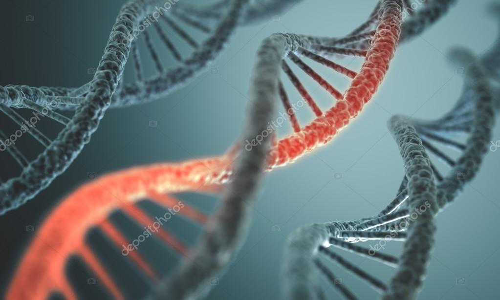 Long structure of the DNA — Stock Photo © ktsdesign #63169557