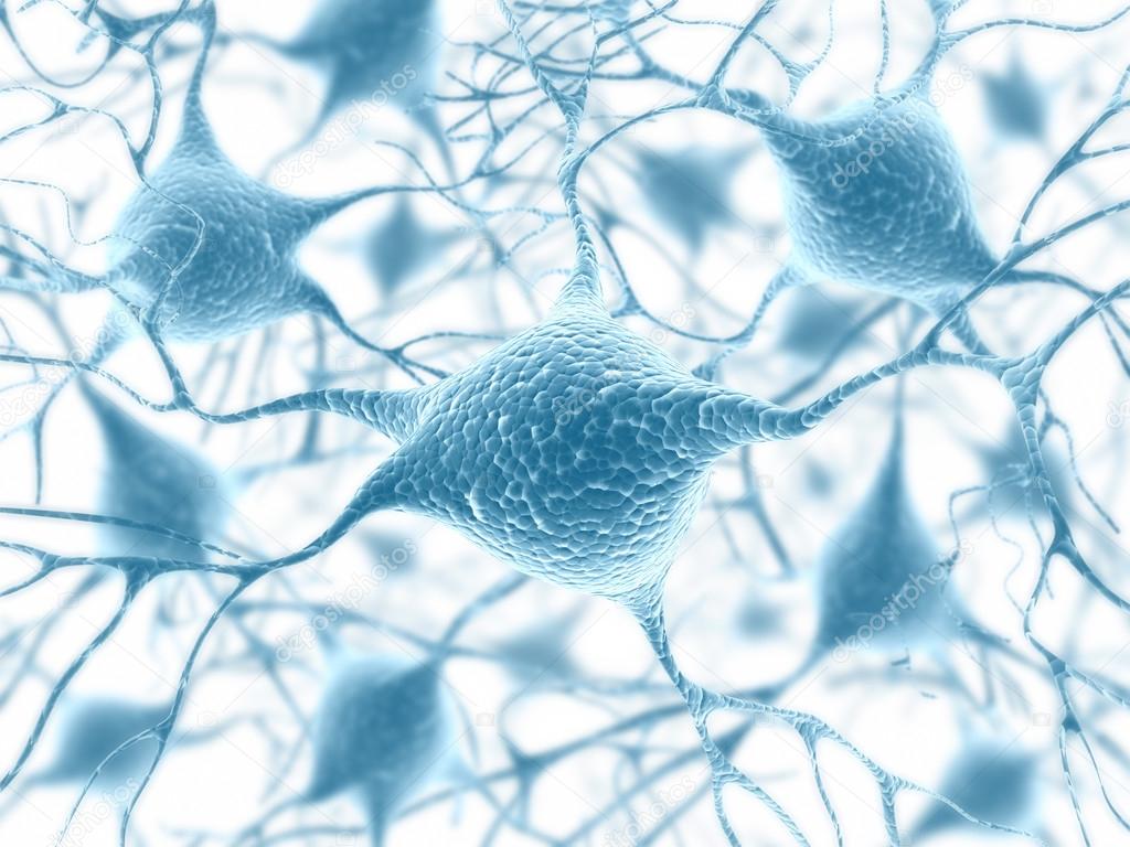 Brain with nervous system and neuron Stock Photo by ©ktsdesign 63209777