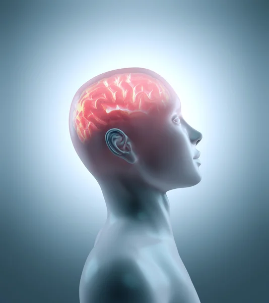 Cognición Stock Photos, Royalty Free Cognición Images | Depositphotos