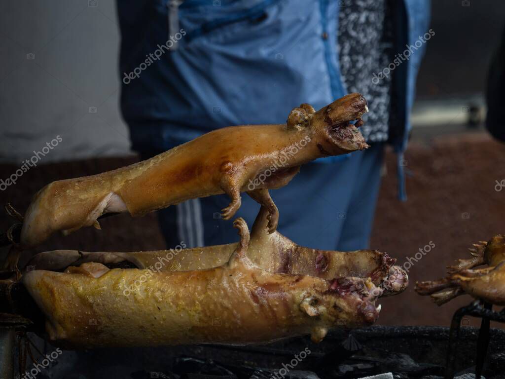 Asado a la parrilla cocinado guinea pig cuy delicadeza comida callejera ...