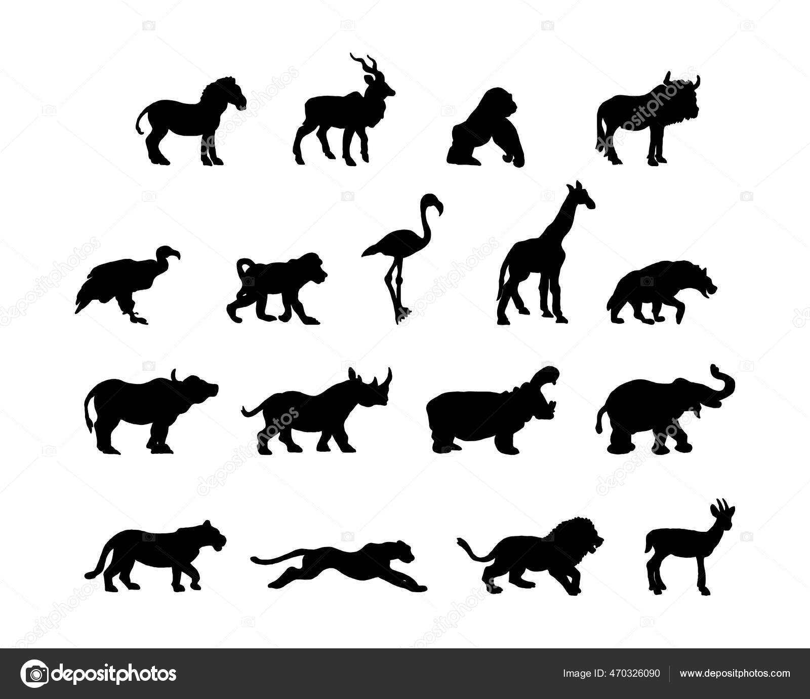 Set Silhouette Standing African Animals Side View Collection Various ...