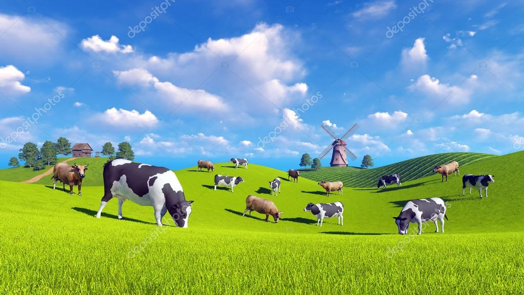 Dairy cows graze on spring meadows Stock Photo by ©Marsea 105685182