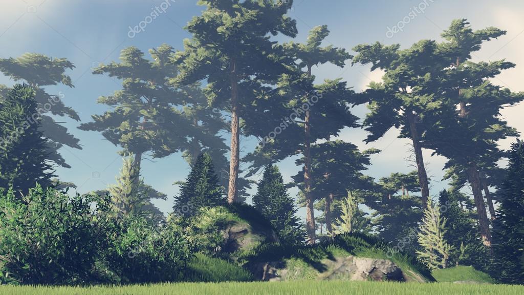 Sunny day in the pine forest 4 — Stock Photo © Marsea #66972331