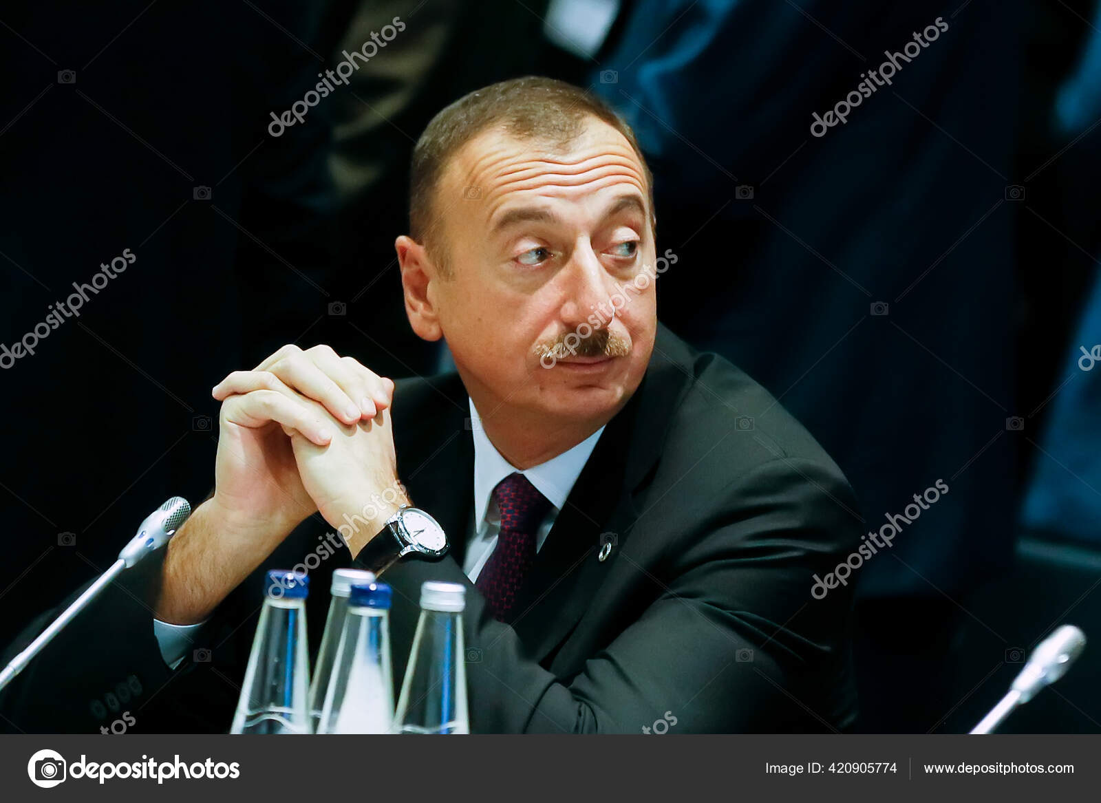 Ilham Aliyev Portrait