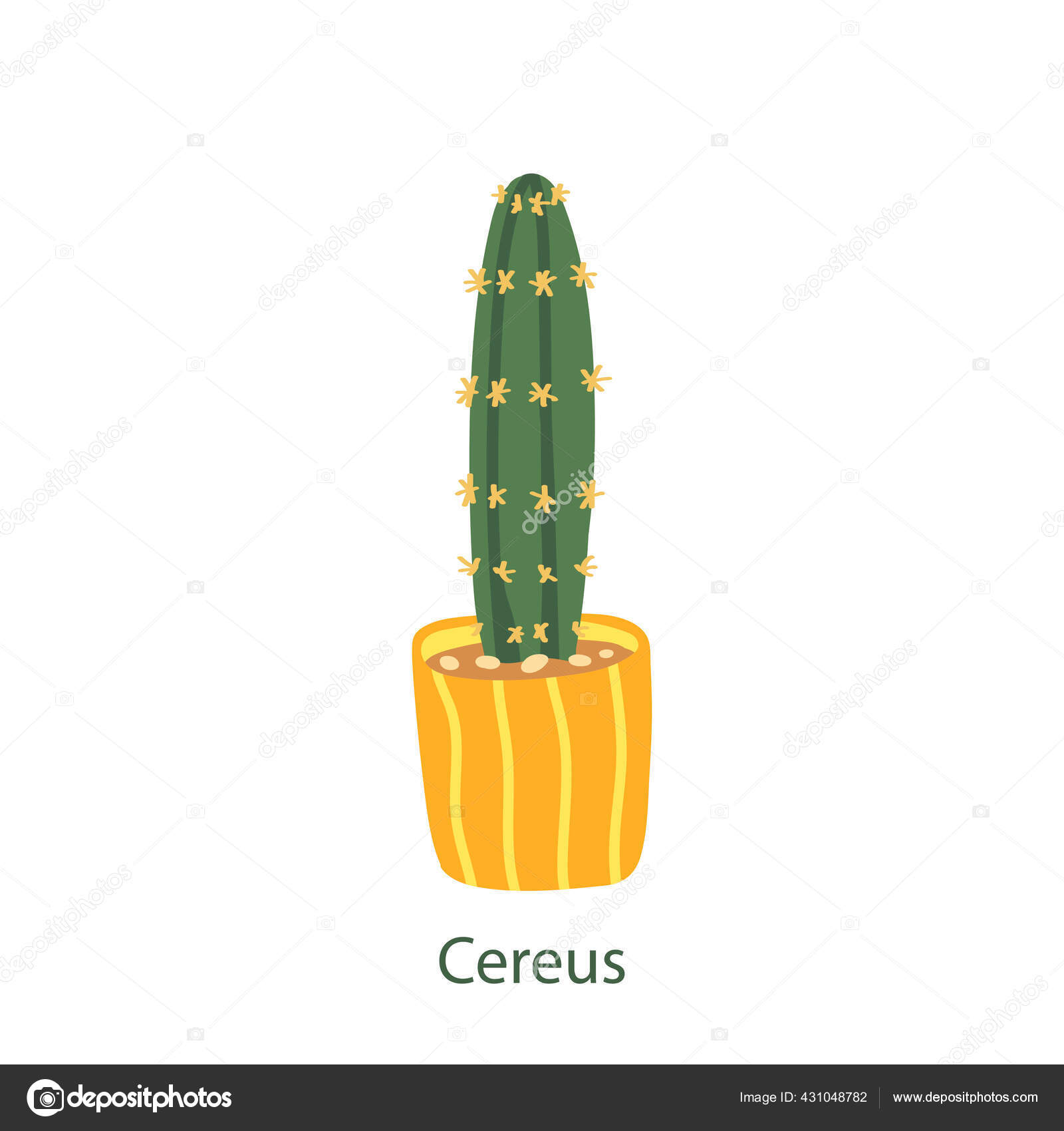 Cereus Plant Isolated White Background Cute Cactus Vector Illustration ...