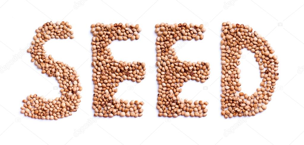 Seed text of sour cherry pits — Stock Photo © ctvvelve #113273006