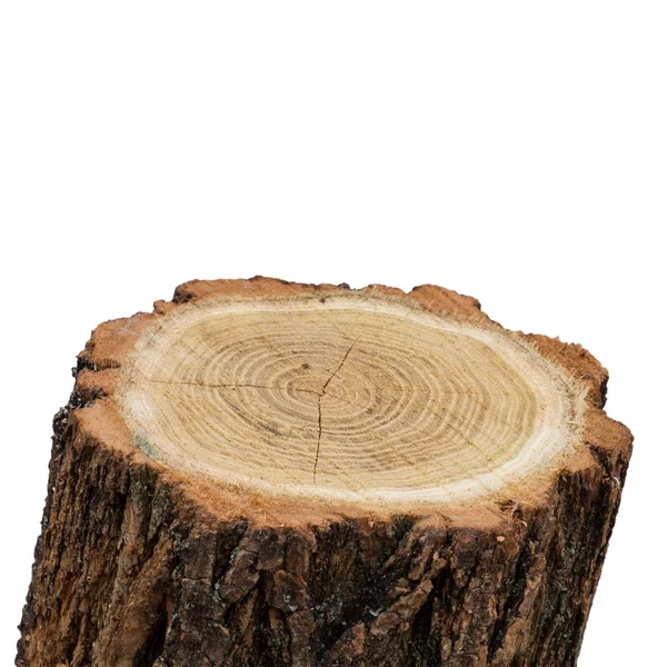 Tronco partido fotos de stock, imágenes de Tronco partido sin royalties ...