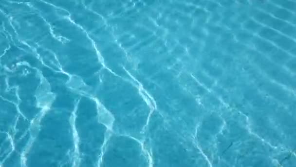 Moving water in swimming pool — Stock Video © djshum #68260463