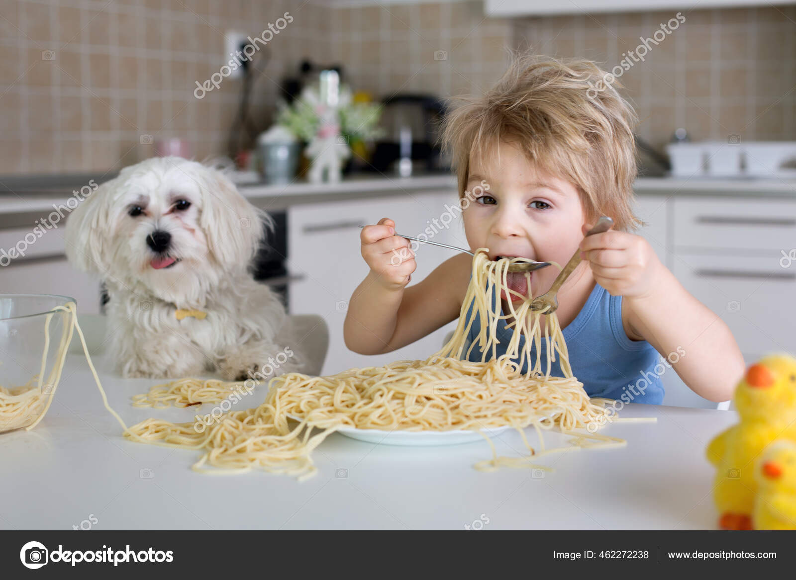 Dog Eating Spaghetti