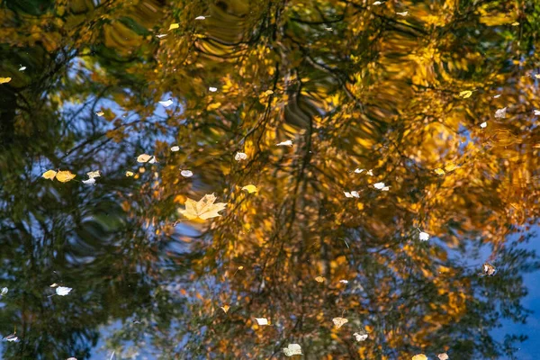 Autumn color reflection Stock Photos, Royalty Free Autumn color reflection Images | Depositphotos