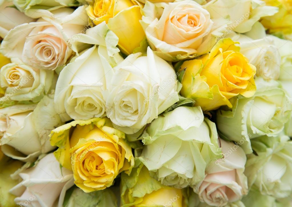 Natural roses bouquet background Stock Photo by ©stetsik 121510382