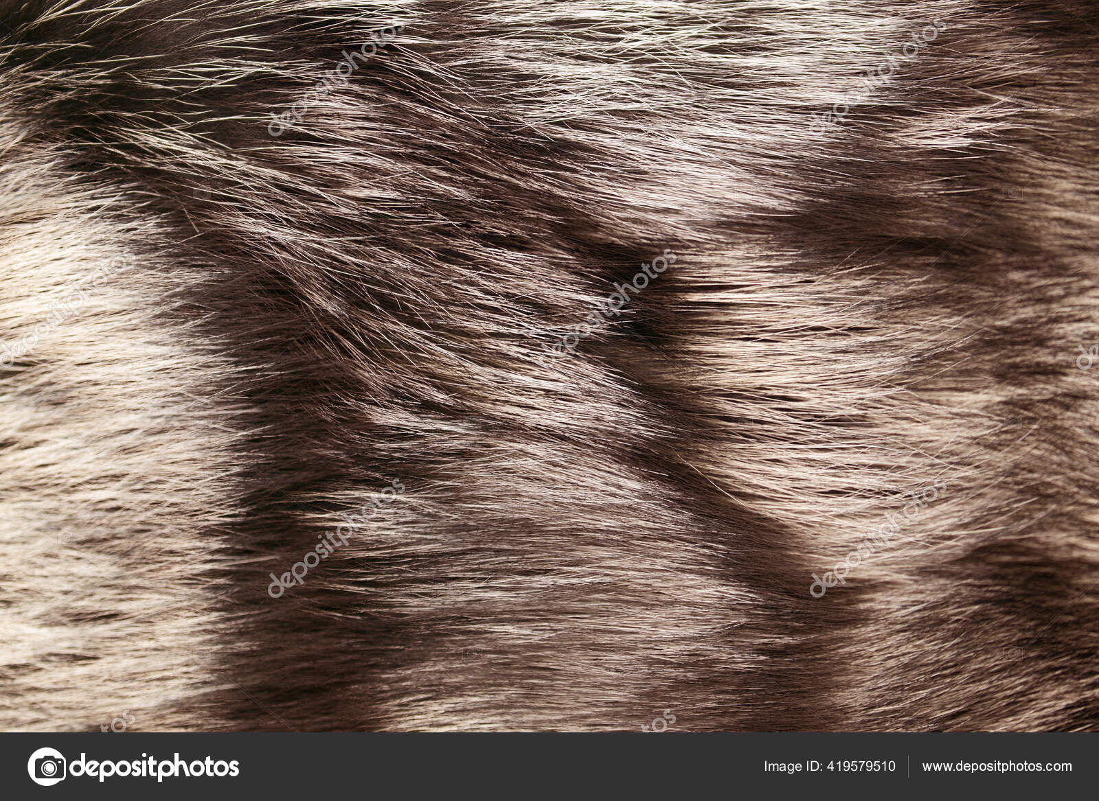Natural fur for texture background. Luxury and elegant fluffy clothes ...