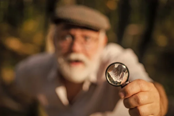 Investigating Stock Photos, Royalty Free Investigating Images ...