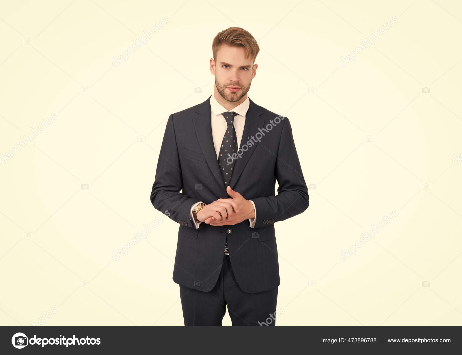 Handsome Businessman Successful