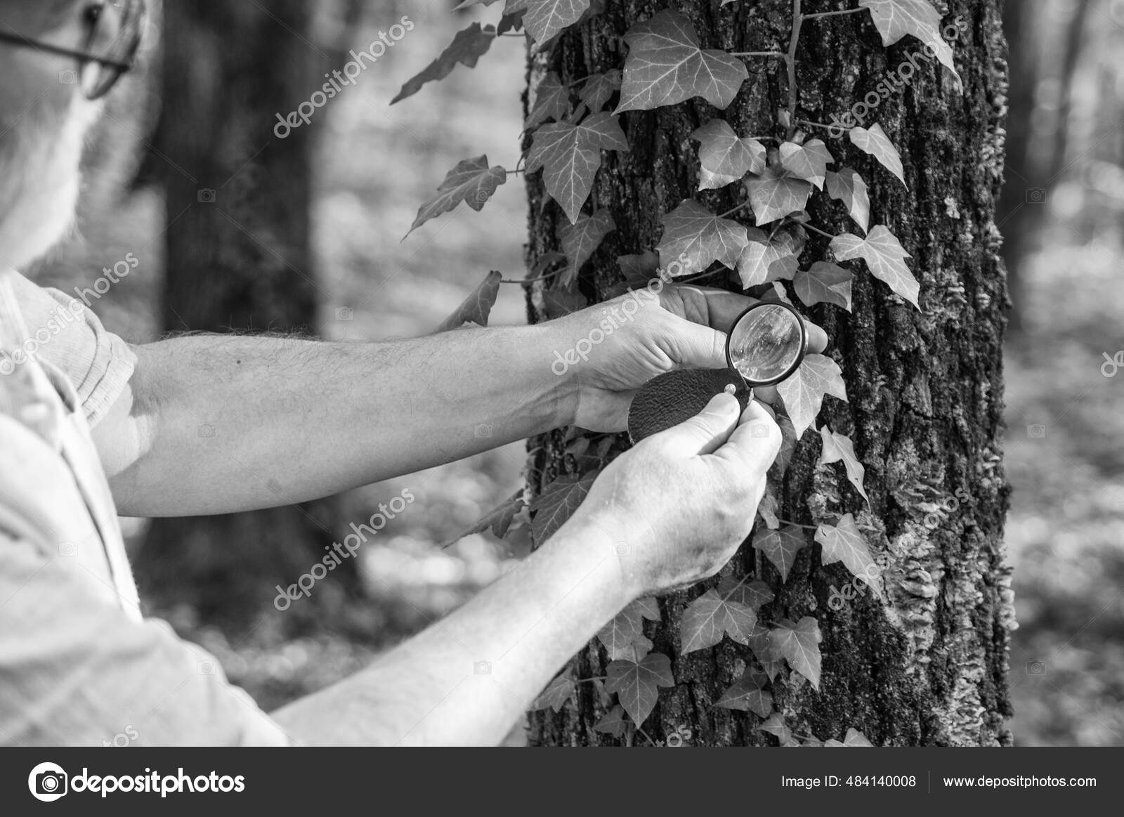 Putting under magnifying glass. Round magnifying lens held in male ...