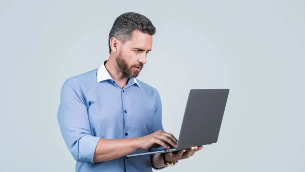 Mature Businessman Eyeglasses Working Computer Grey Background — Stock Photo © stetsik #575410148