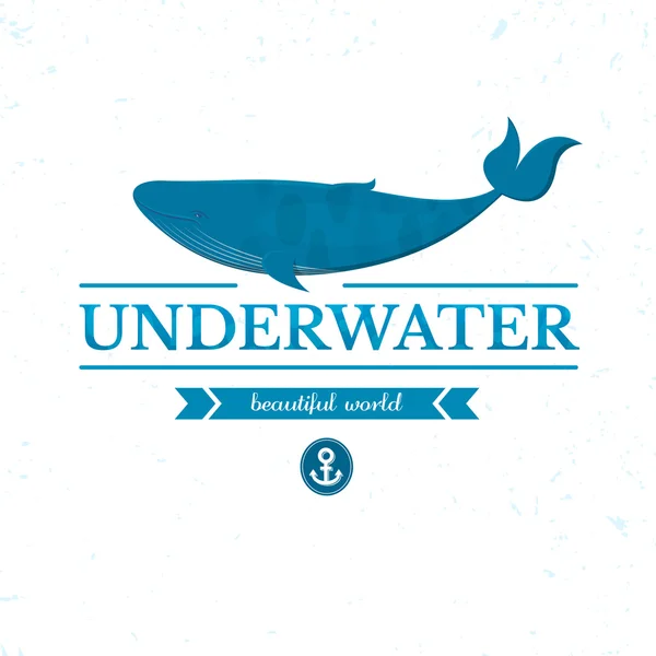 Oceanario Logo Aventuras do SALPICO: Quem foi ao OCEANÁRIO ver o VASCO?