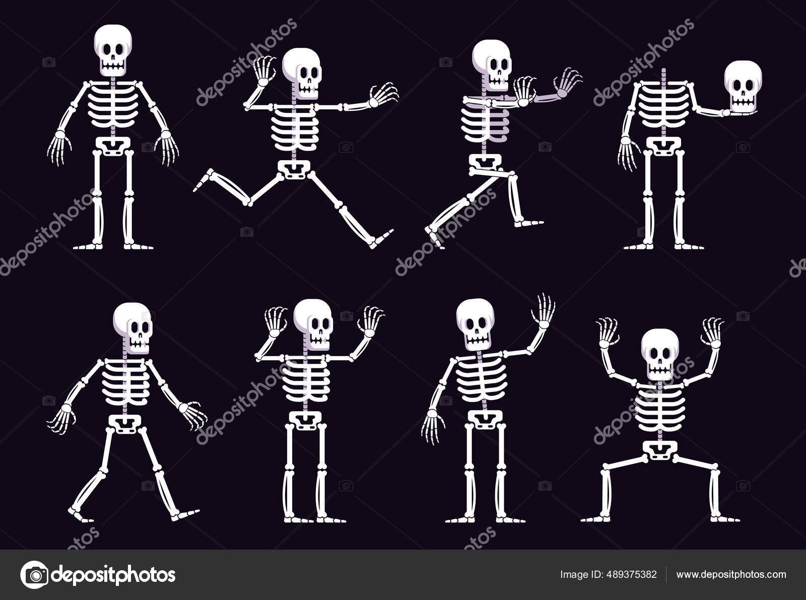 Esqueleto Animado Esqueleto De Dibujos Animados Png | PNGEgg