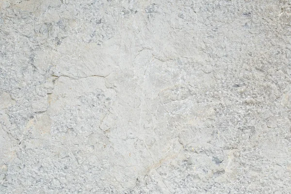 A limestone. building material. science geology - Stock Image - Everypixel