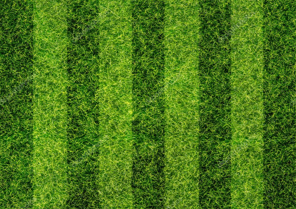 Soccer Grass Pattern