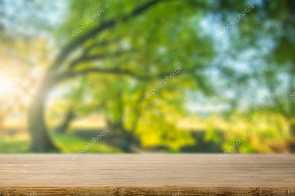Table with natural background Stock Photo by ©olegkrugllyak 119142220