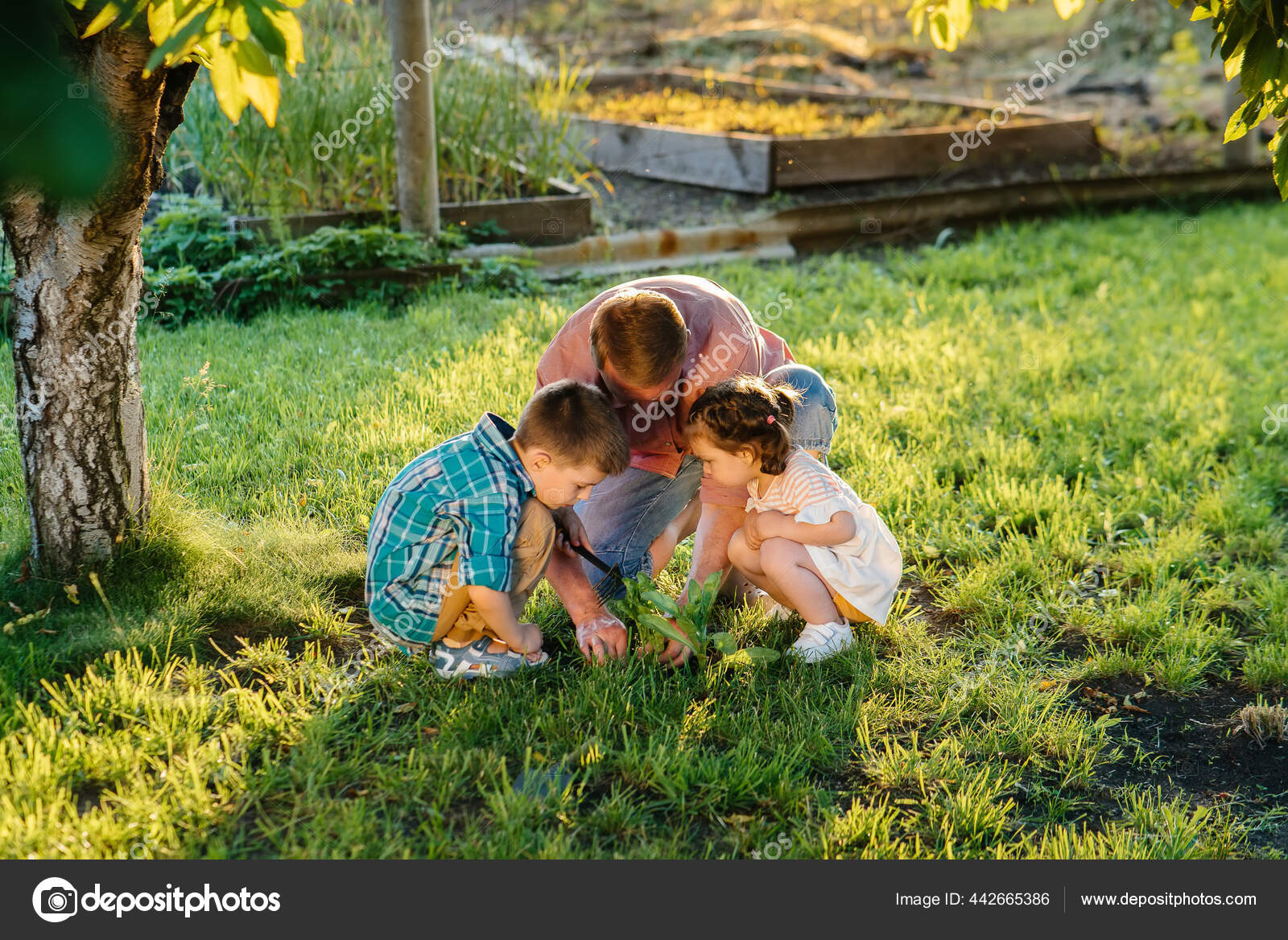 Little Brother Sister Planting Seedlings Father Beautiful Spring Garden ...