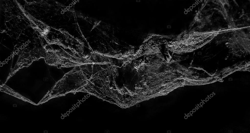Abstract Cobweb on black background Stock Photo by ©maxshutter 69585821