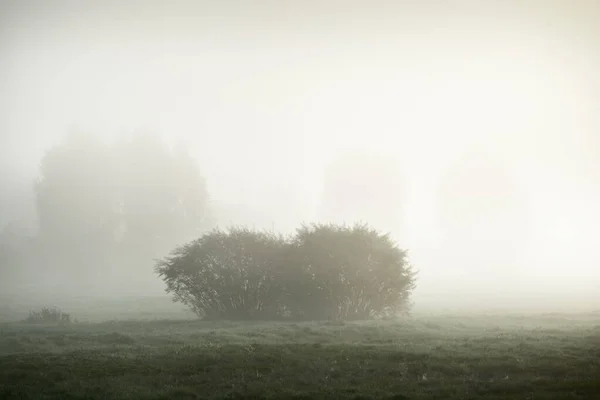 Misty kehoe fotos de stock, imágenes de Misty kehoe sin royalties ...