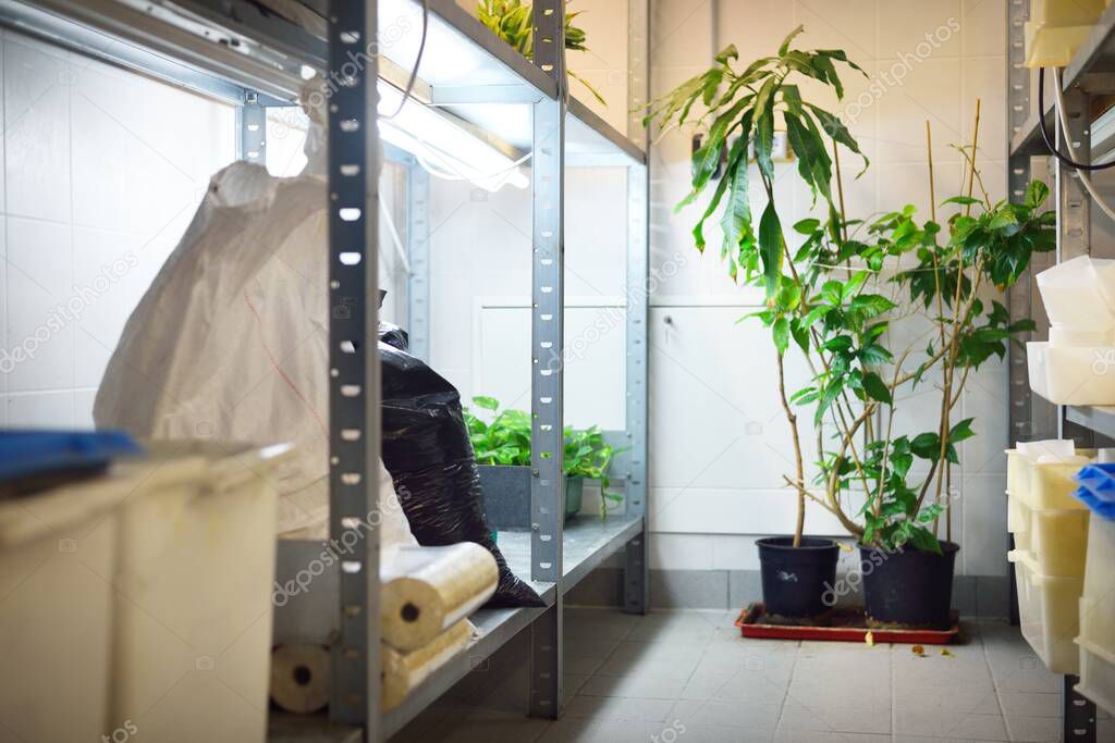 Insectario en el laboratorio del zoológico. Estantes de terrario ...