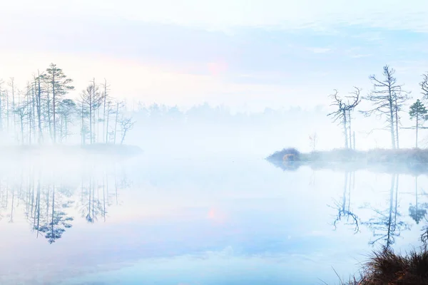 crystal clear lake (bog) in a fog at sunrise. Symmetry reflections on ...