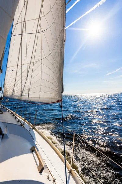 White sloop rigged yacht sailing in an open Baltic sea on a clear sunny ...
