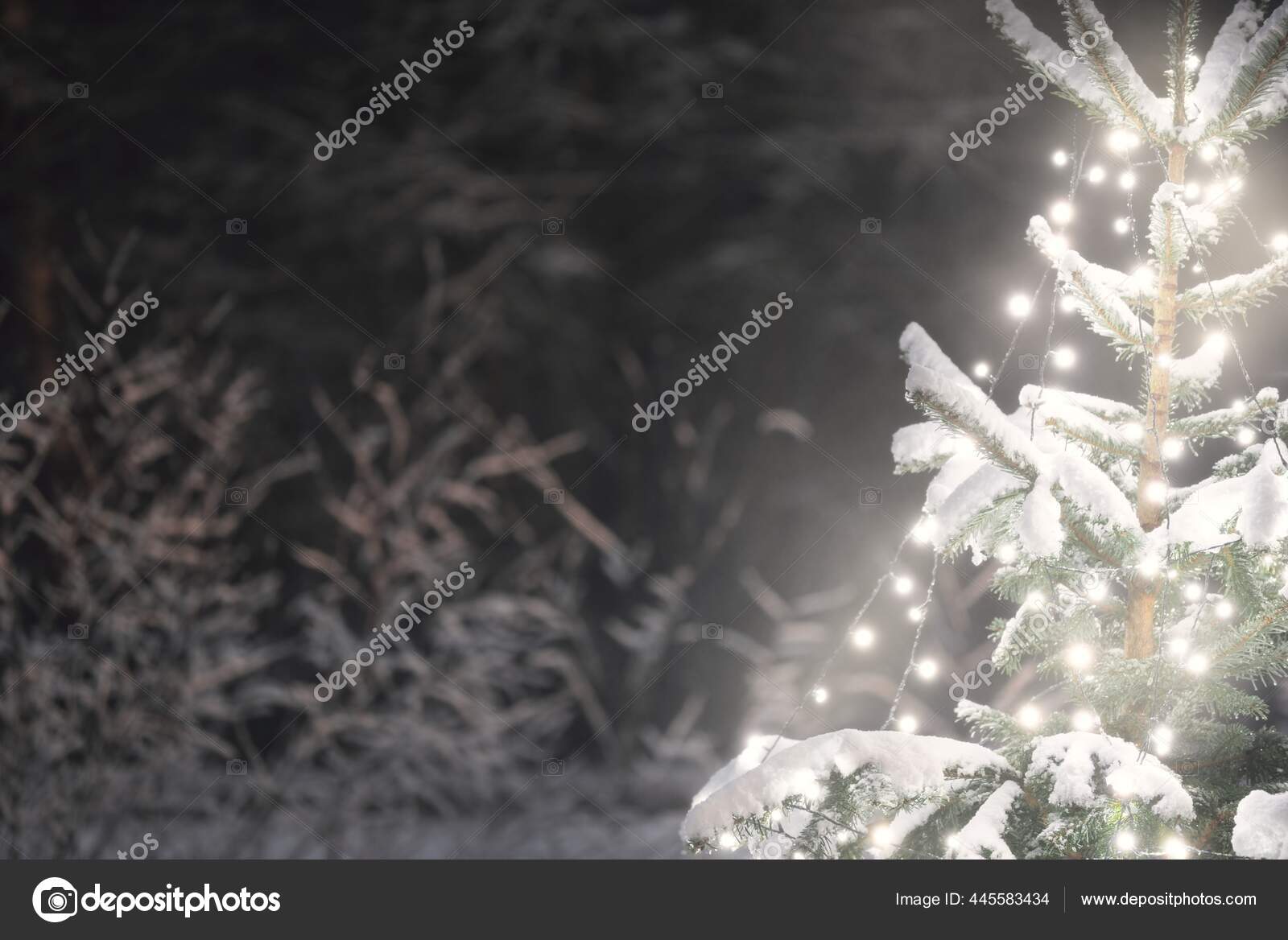 Snow Covered Spruce Tree Illuminated Garland White Lights Close Dark ...