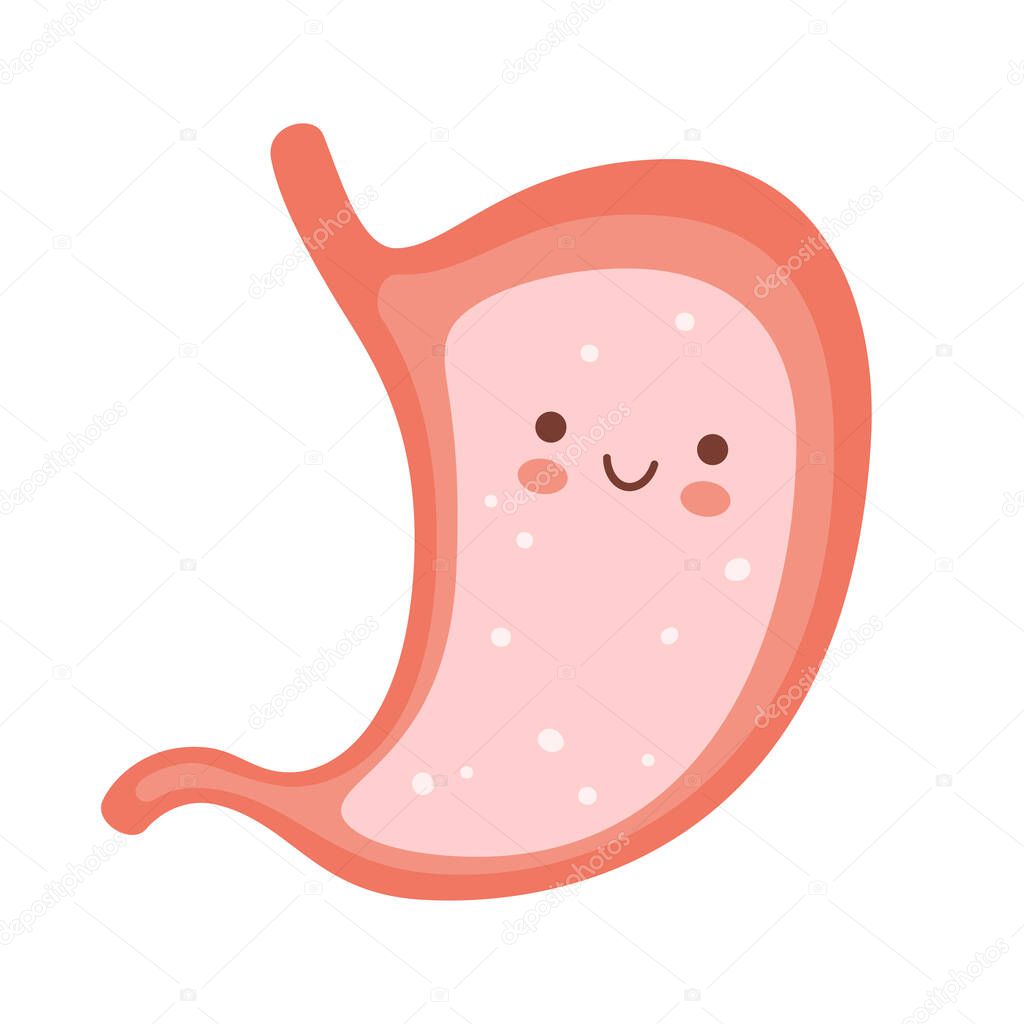 Sonriendo lindo personaje del estómago. Símbolo de un estómago sano. Vector plano ilustración de ...