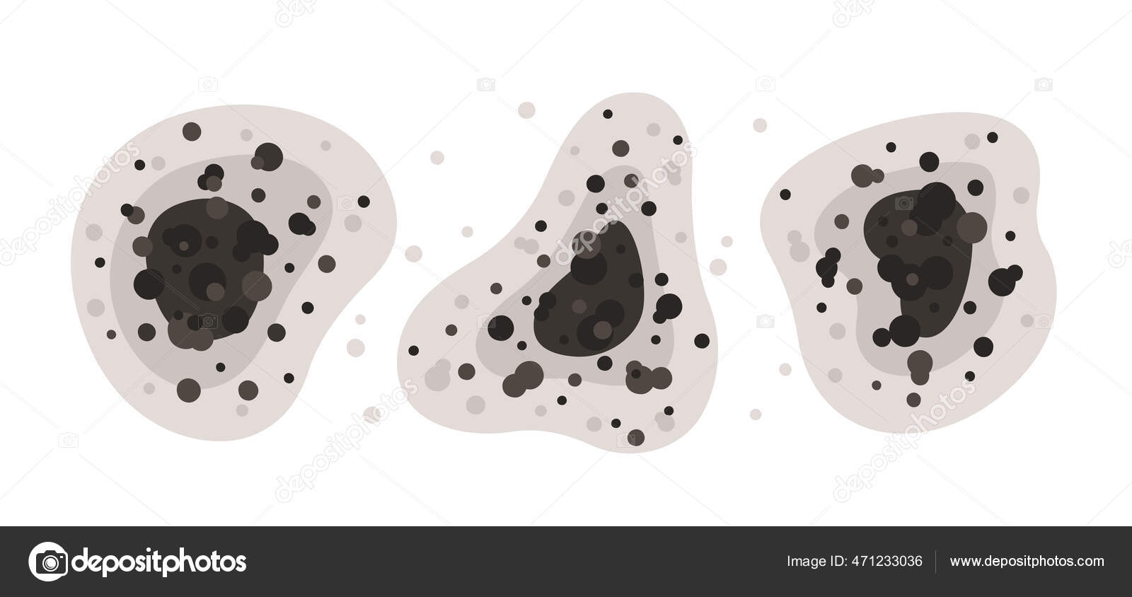 Black mold spots of different shapes. Toxic mold spores. Fungi and ...