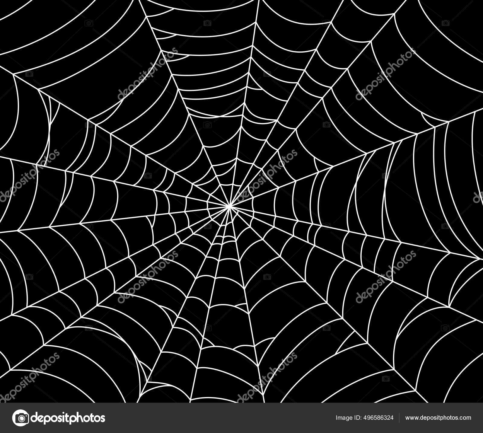 Scary spider web. White cobweb silhouette isolated on black background ...