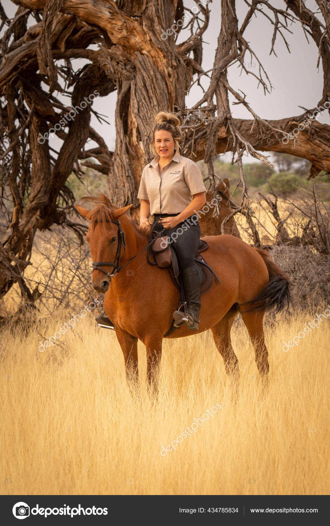 Blonde Horseback Twisted Dead Tree Stock Photo by ©nicholas_dale 434785834