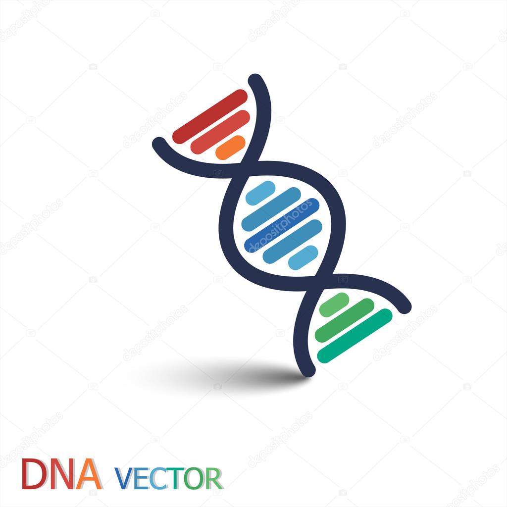 DNA ( Deoxyribonucleic acid ) symbol ( Double strand DNA ) Stock Vector ...