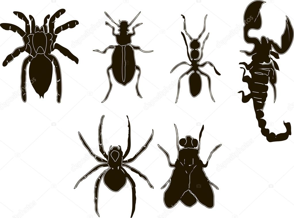 Vector - Conjunto de iconos de insectos en blanco y negro 2024