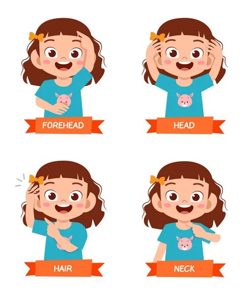 Happy Cute Kid Girl Body Part Anatomy Stock Vector by ©colorfuelstudio ...