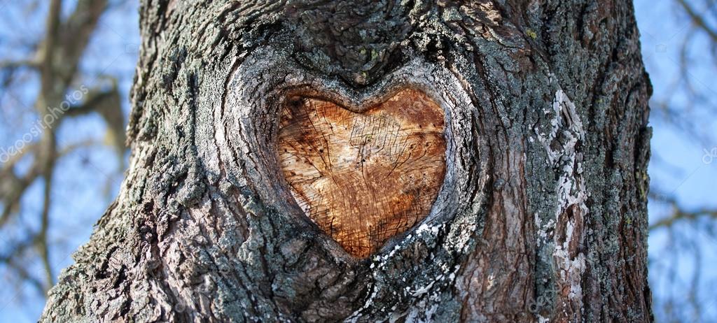 Tree Trunk With Heart Clipart