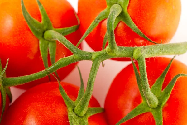 8,000,000+ imágenes de Tomates en rama libres de derechos | Depositphotos