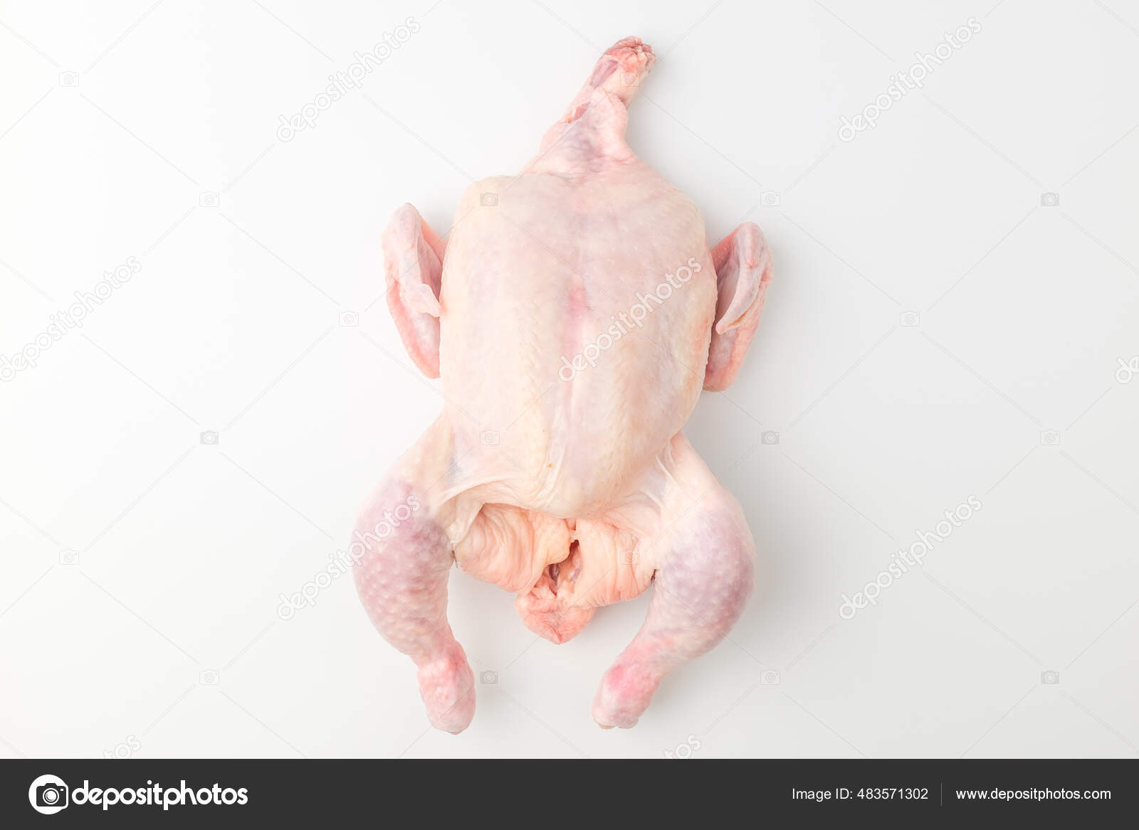 Freshly Groomed Raw Chicken Uncut Chicken Chicken Food — Stock Photo ...