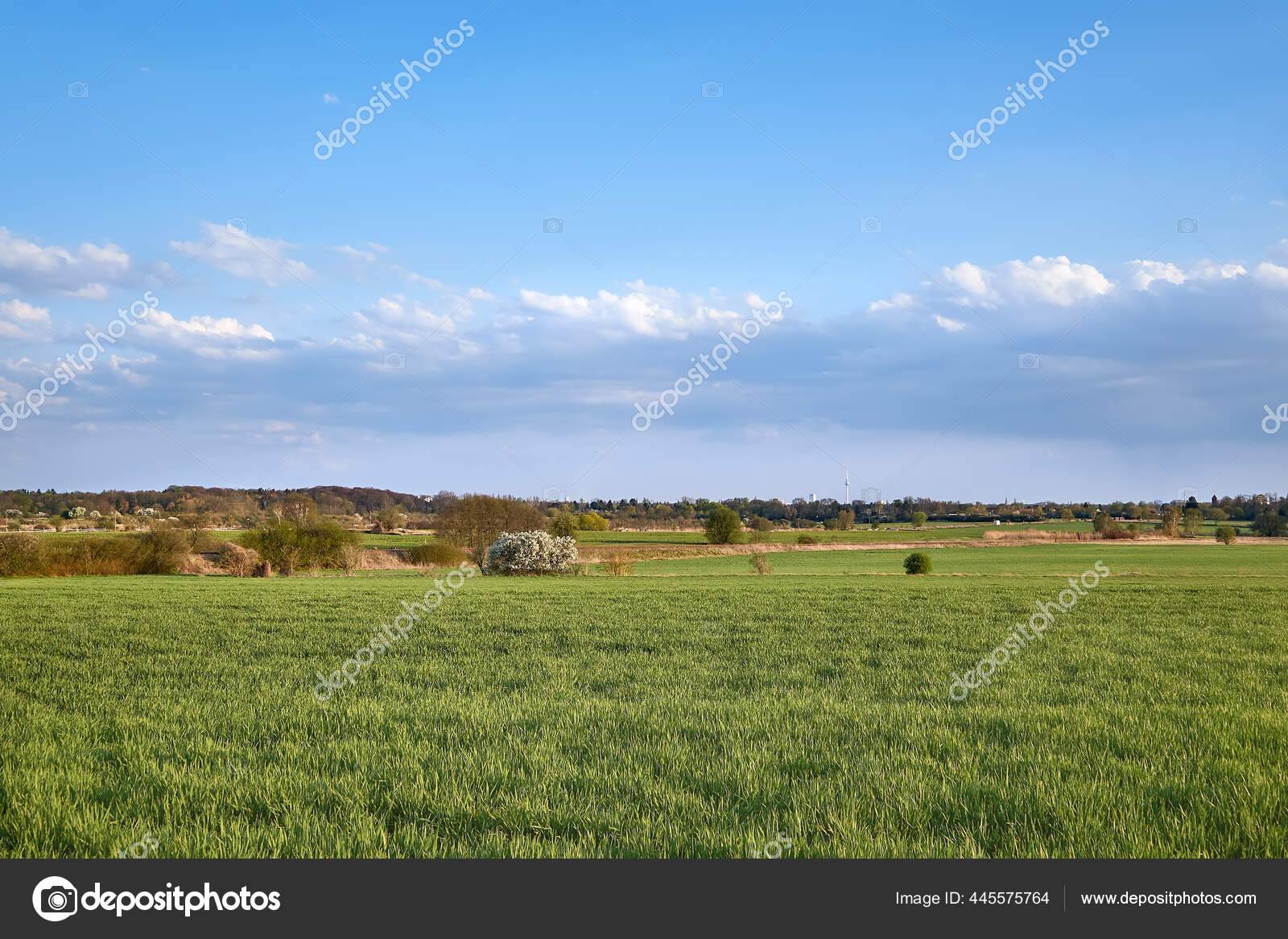 Berlin Countryside