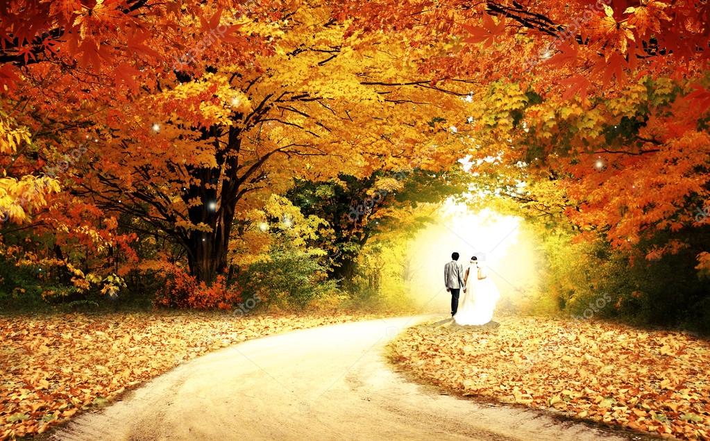 Nature Background For Wedding Allenjoy Nature Spring Background Rural