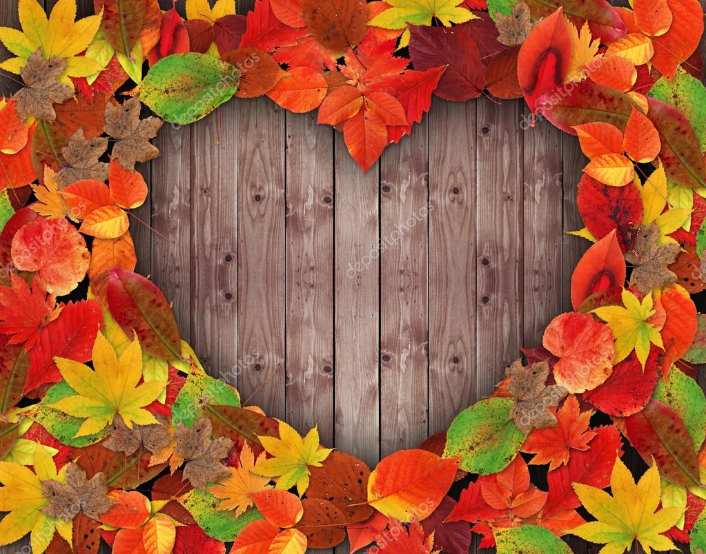 Fall Leaves Heart
