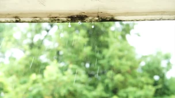 36 Rain drops dripping from a house Videos, Royalty-free Stock Rain ...