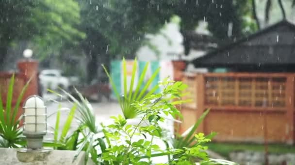 Tropical Rainfall in urban scene. Rainy season in hot climate country ...